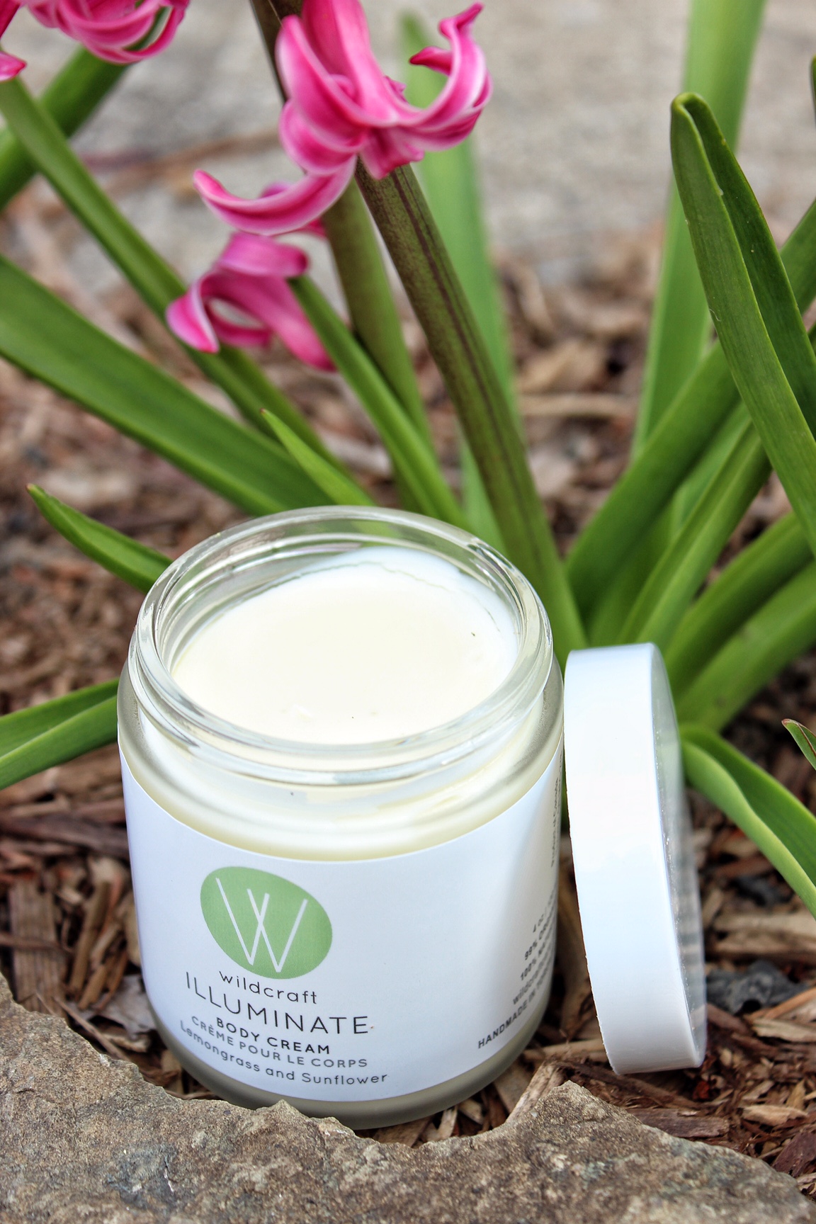 Wildcraft Care: a 5-day natural skincare challenge • modexlusive